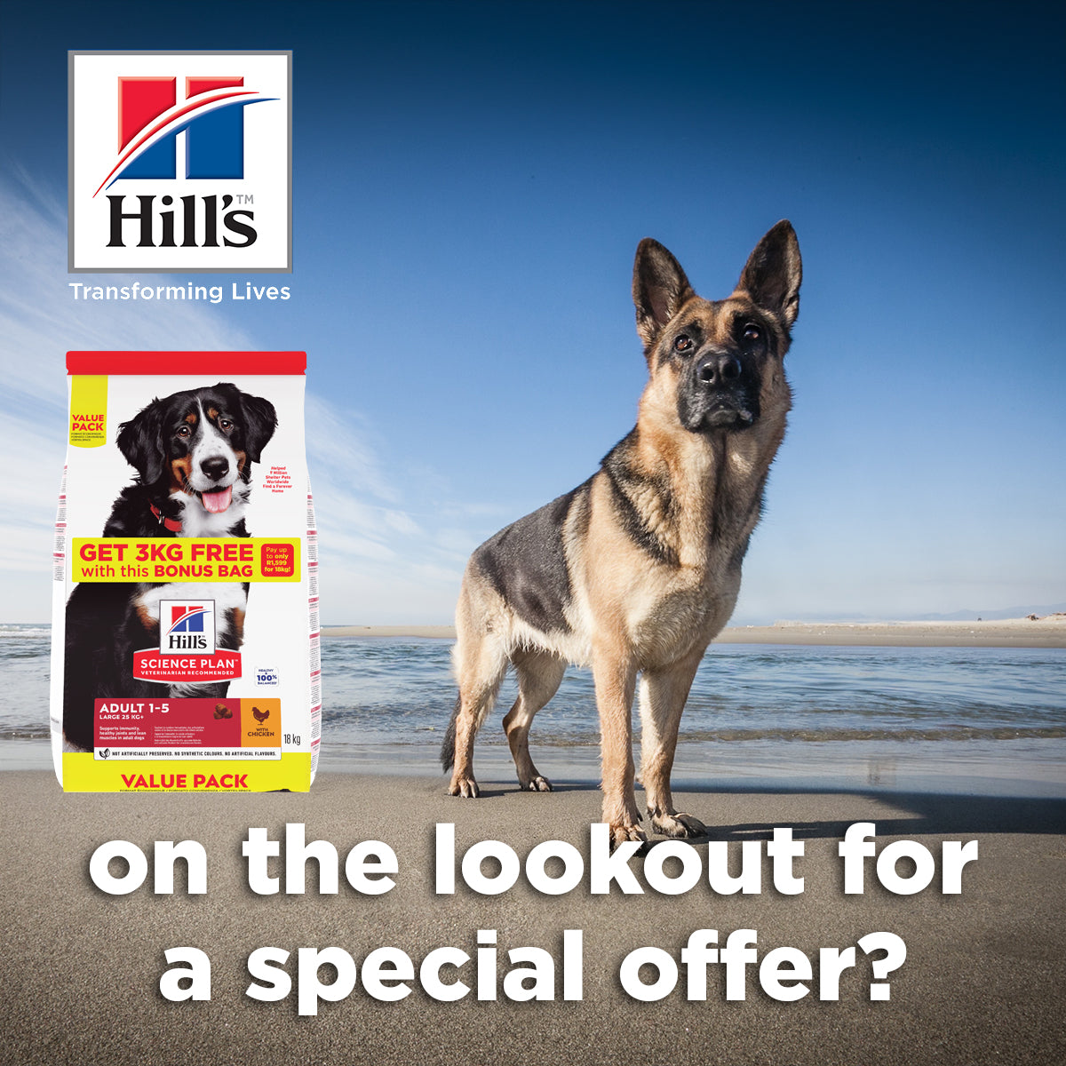 Hill's Extra Special – JustforPets