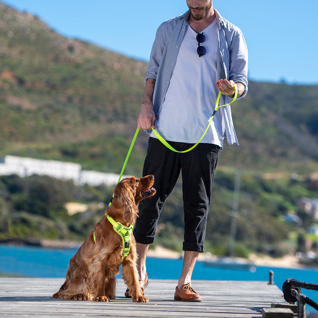 Rogz Utility Classic Leads – JustforPets